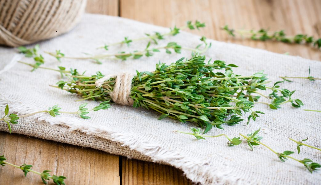 Anti mites : 12 solutions naturelles pour s'en débarrasser